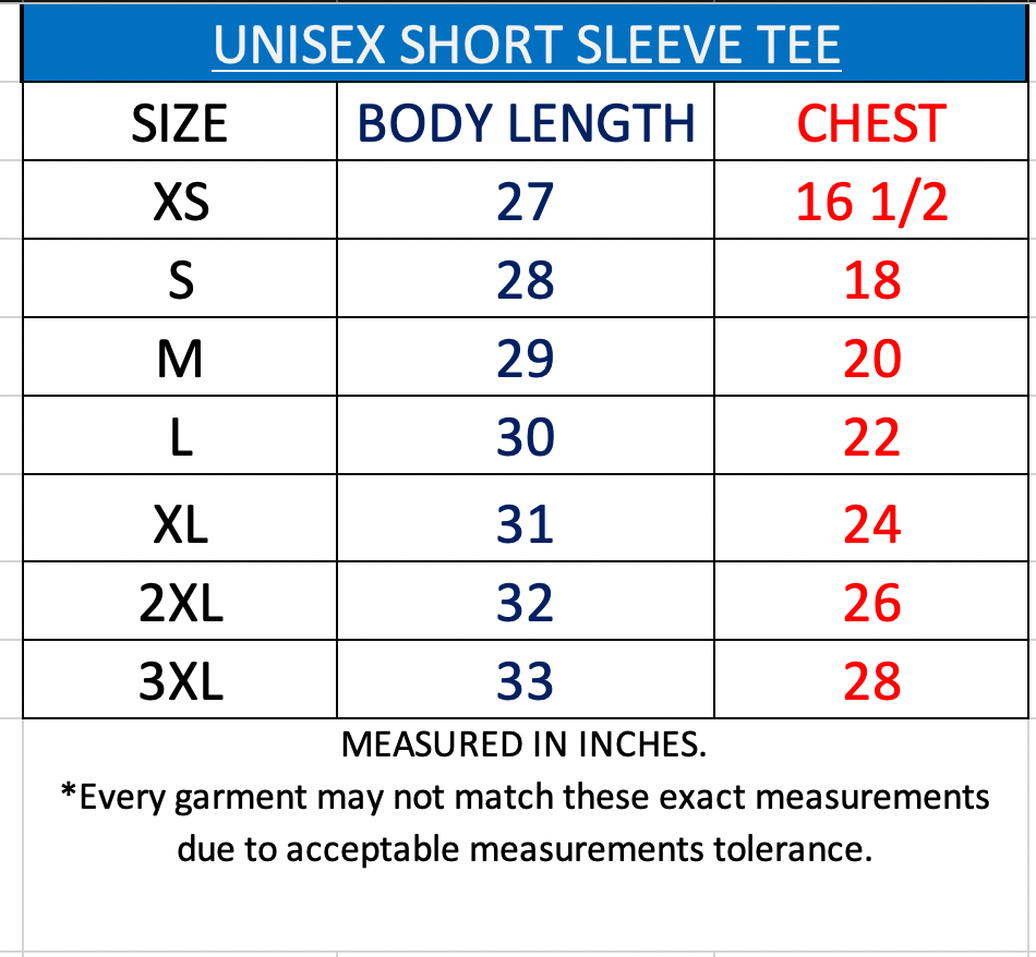 ZETARIZED t-shirt – The Icing On The Kake